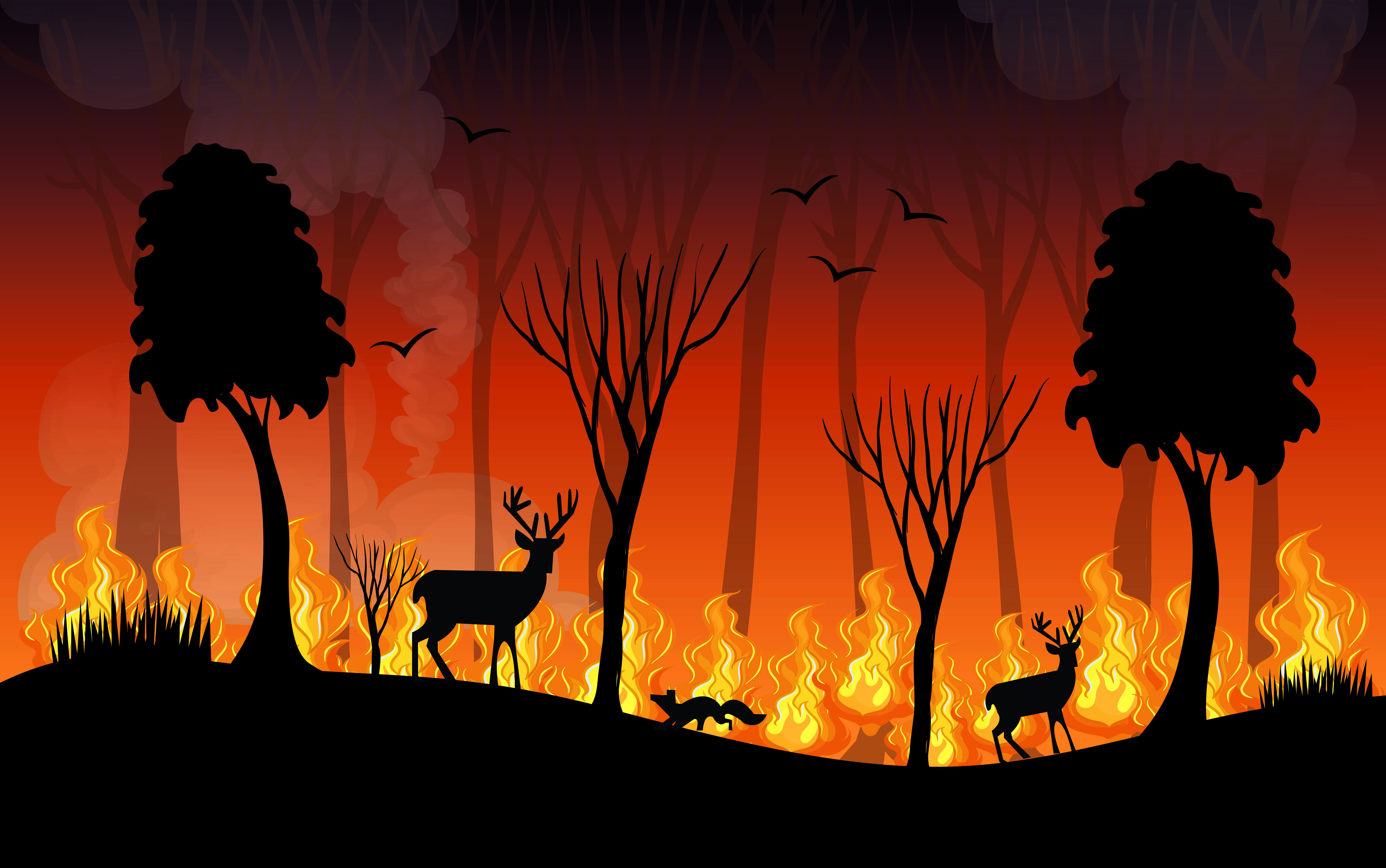 2023 Fire Season Expected to Produce Above Average Activity